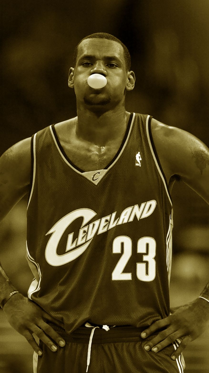 LeBron James, The Scoring King